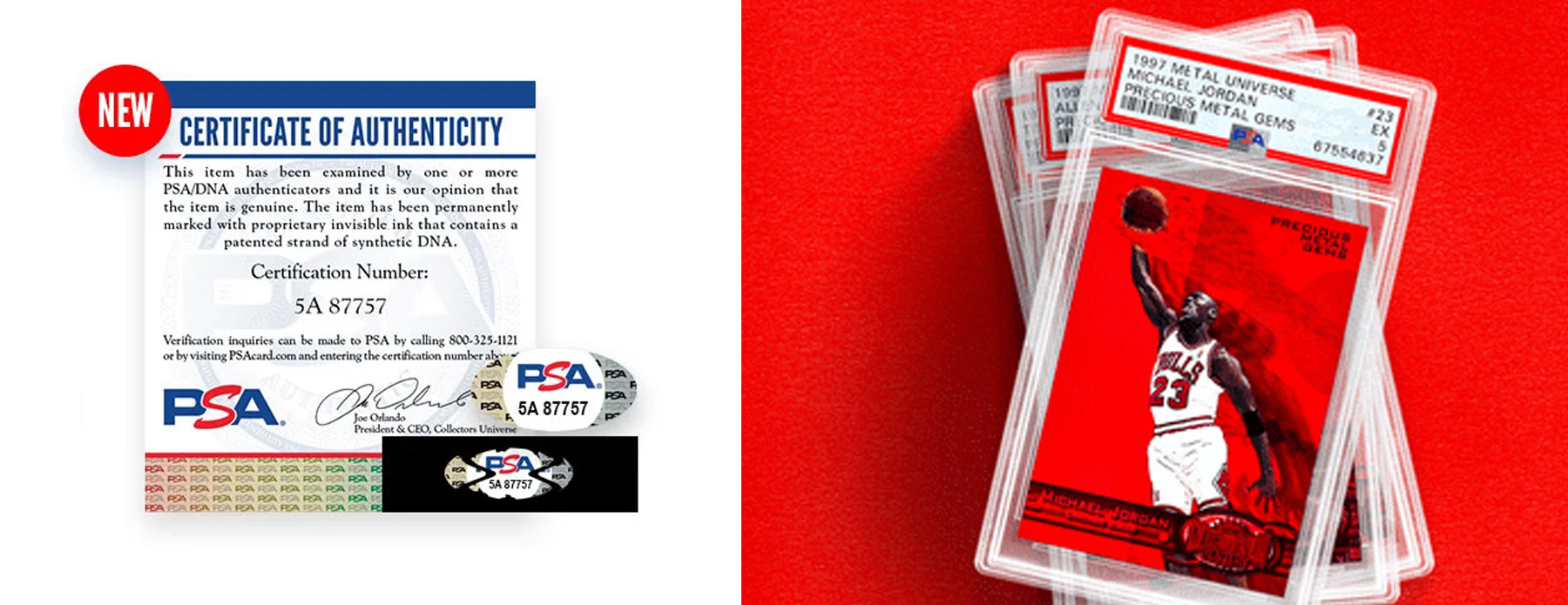 The Importance of PSA Card Grading - Toploader Binders